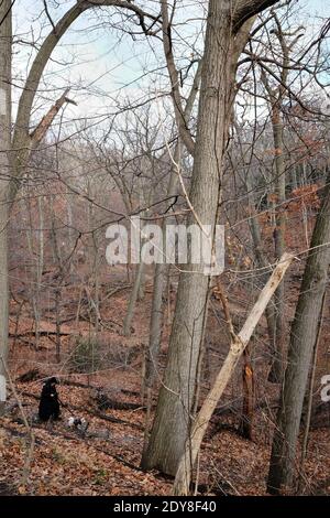Toronto ravine trail Stock Photo - Alamy