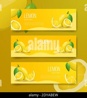 Citrus vector logo design template. fruit or food icon Stock Photo - Alamy