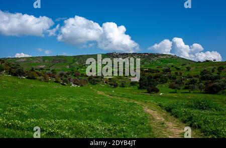Water meadows and hills on the Mediterranean coast on the island of ...