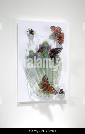 Sandra Young glass artist Stock Photo - Alamy