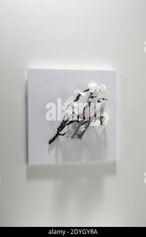 Sandra Young glass artist Stock Photo - Alamy