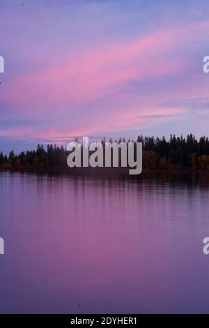 Bosque de Taiga en otoño. Finlandia. Europa Stock Photo - Alamy
