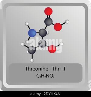 Threonine Amino Acid Molecule Ball and Stick Structure Stock Vector ...