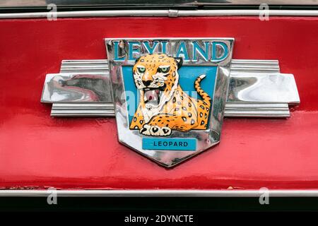 Leyland Leopard badge Stock Photo - Alamy
