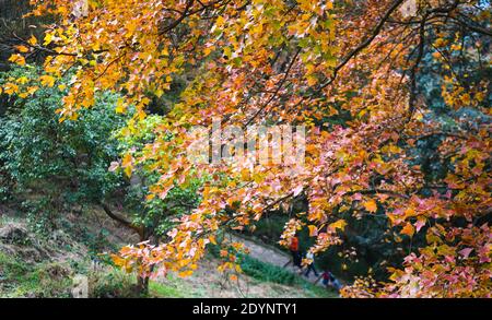 Guangzhou conghua scenery Stock Photo - Alamy