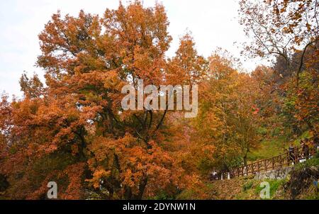 Conghua Scenery in Guangzhou, Guangdong Province Stock Photo - Alamy