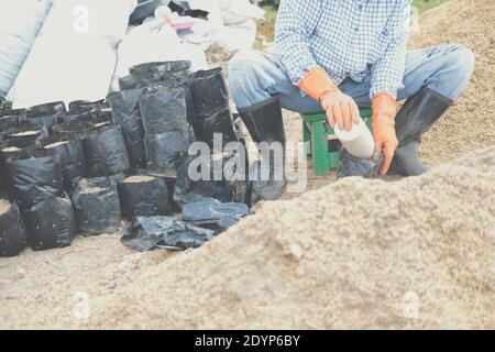 substrate materials for growing plant. soil and fertilizer in planting ...