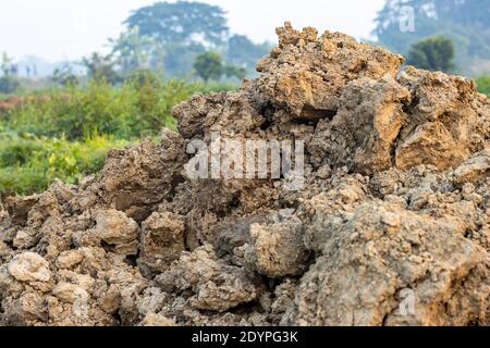 Landscape field, brown dug up land with beds, furrows for plowing ...