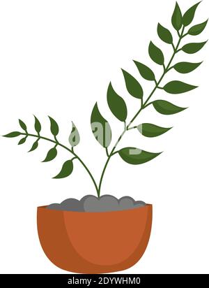 A potted monstera plant on green background Stock Vector Image & Art ...