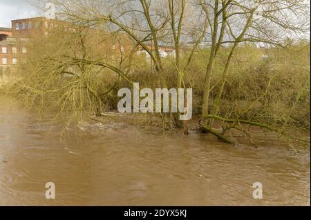River Mersey in spate, Stockport, Greater Manchester, UK Stock Photo ...