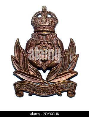 British Intelligence Corps World War 2 serviceman at a 1940s WW2 reenactment, Avoncroft Museum ...