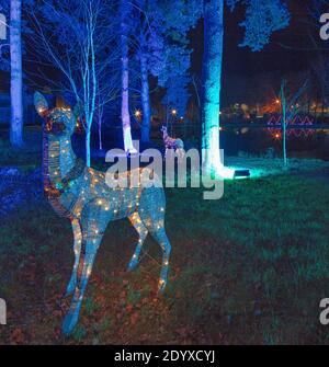 Christmas lights at The Alnwick Garden, Alnwick, Northumberland ...