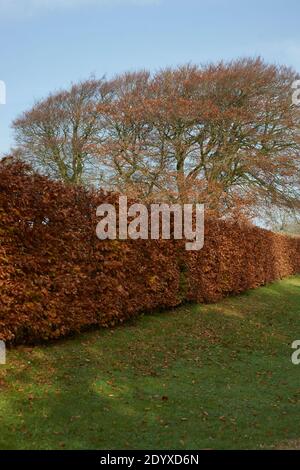 Winter in the Woolley Valley, an Area of Outstanding Natural Beauty in ...