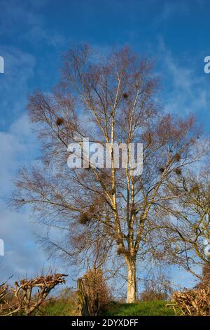 Winter in the Woolley Valley, an Area of Outstanding Natural Beauty in ...