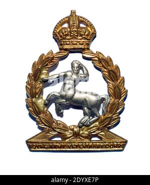 The Royal Army Veterinary Corps (RAVC) mounted riders, some of whom are ...