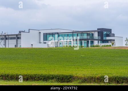 Zealong tea estate at Hamilton, New Zealand Stock Photo - Alamy