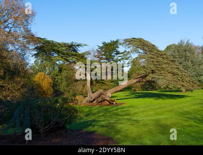 Wall Hall Estate, Aldenham Abbey, UK. Magnificent Estate of Woodland ...