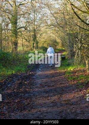 Wall Hall Estate, Aldenham Abbey, UK. Magnificent Estate of Woodland ...