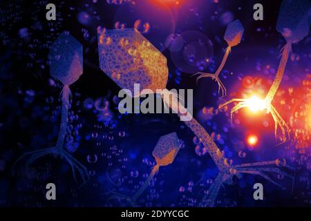 Closeup bacteriophage virus attacking bacteria cells 3D illustration Stock Photo - Alamy
