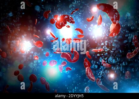 Sickle cell anemia disease (SCD) blood cells 3D illustration Stock ...
