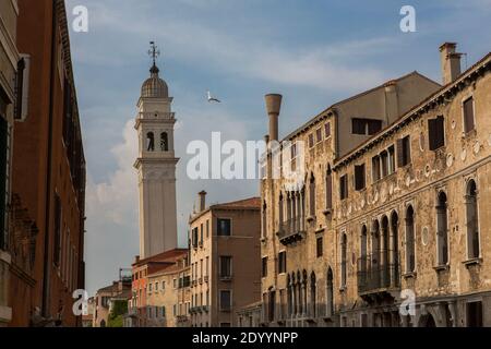 A bird flies past the bell tower of Eliot House at Harvard University ...