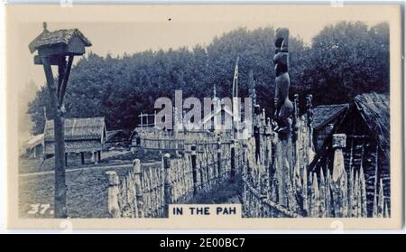 Maori pa, or fortified village, on the Whanganui River, North Island ...