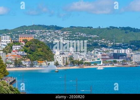 Freyberg Beach and city waterfront in Wellington, New Zealand, Oceania ...