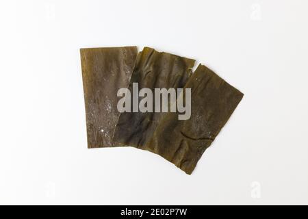 Square kelp on a white background Stock Photo - Alamy