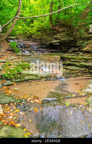 Lower West Cliff Falls Niagara Escarpment Dundas Valley Hamilton ...