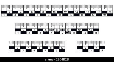 Forensic ruler for measuring crime evidence and gathering a clues Stock ...
