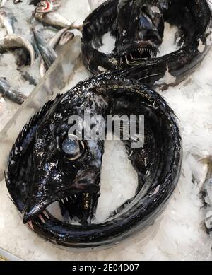 Aphanopus carbo - Black Scabbard Fish - on sale in Funchal Madeira ...
