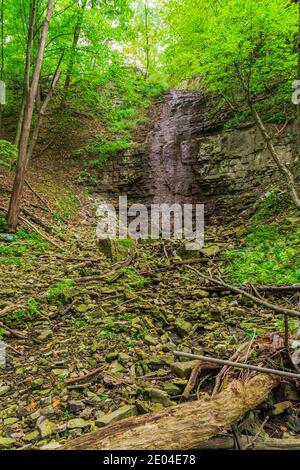 Princess Waterfalls Niagara Escarpment Chedoke Radial Trail Hamilton ...