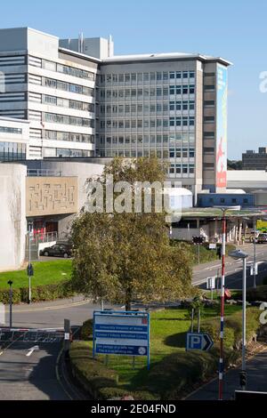 A general view of the University Hospital of Wales Heath Hospital in ...