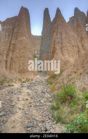 Clay cliffs Paritea in New Zealand Stock Photo - Alamy