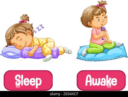 Opposite words with awake and sleep illustration Stock Vector Image ...