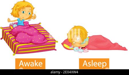 Opposite words for awake and asleep illustration Stock Vector Image ...