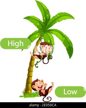 Opposite words for low and high illustration Stock Vector Image & Art ...