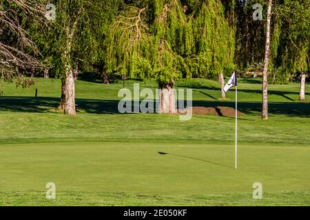 Flag of Canada on green background Stock Photo - Alamy