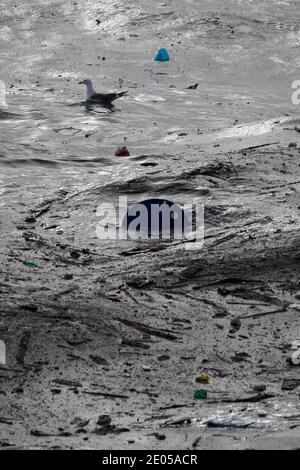Naples, Italy. 29th Dec, 2020. Naples bad weather storm on the seafront ...