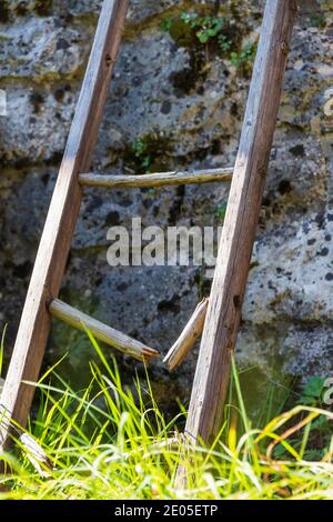 wooden rung ladder in the garden Stock Photo - Alamy