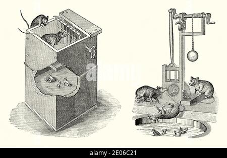 Large black rat trap box or mouse trap box next to a gas meter in a ...