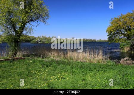 Deeping Lakes nature reserve, wildlife trust, Deeping St James ...