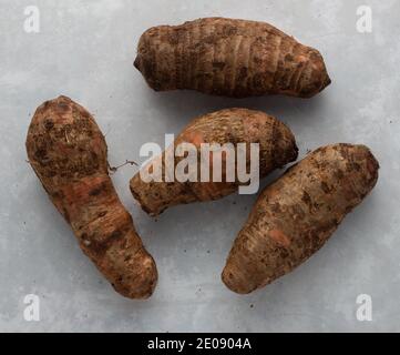Cocoyam. Dasheen. Eddo. Taro. Tropical root crop Stock Photo - Alamy