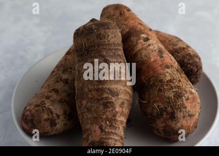 Cocoyam. Dasheen. Eddo. Taro. Tropical root crop Stock Photo - Alamy