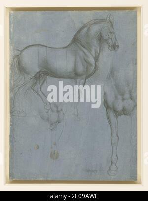 Horse studies by Leonardo da Vinci 1505 pen and ink and red chalk Stock ...