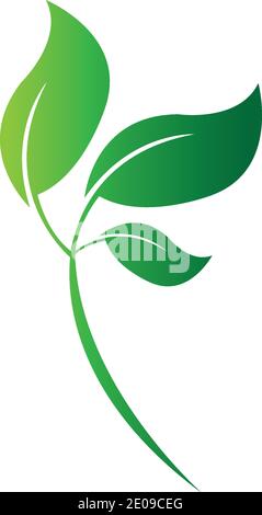 Logos of green Tree leaf ecology nature element vector Stock Vector ...
