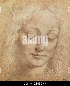 Leonardo Da Vinci - Female Head Stock Photo - Alamy