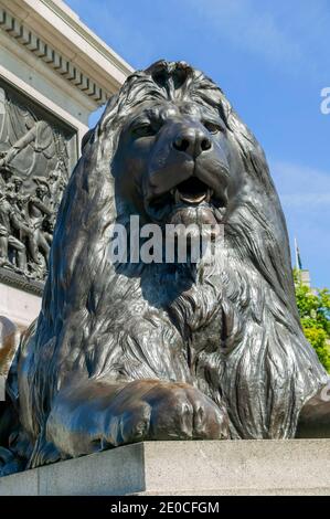 British Lion at Base of Statue of Lord Plunket, 1906 Governor of New ...