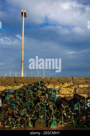 Lobster pots at Kilmore Quay, Wexford, Ireland Stock Photo - Alamy