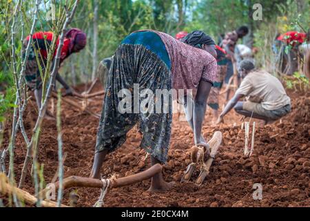 Konso farmer, southern Ethiopia Stock Photo - Alamy
